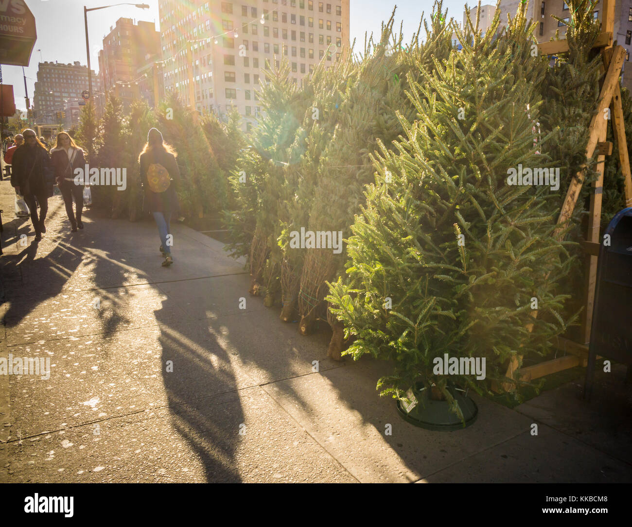 Pedestrians pass a Christmas tree seller in the Chelsea neighborhood of ...
