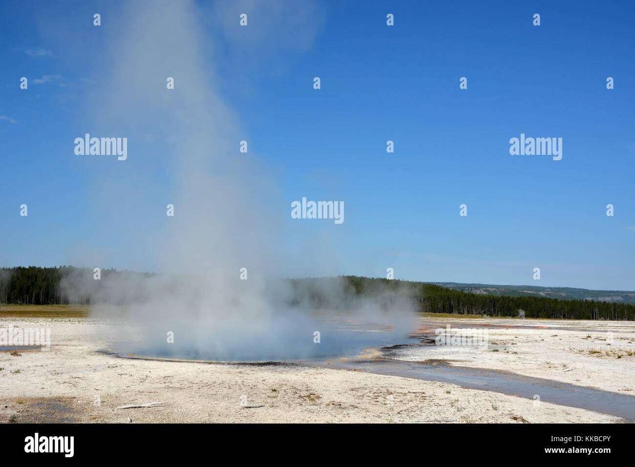 Yellowstone- geyser land Stock Photo - Alamy