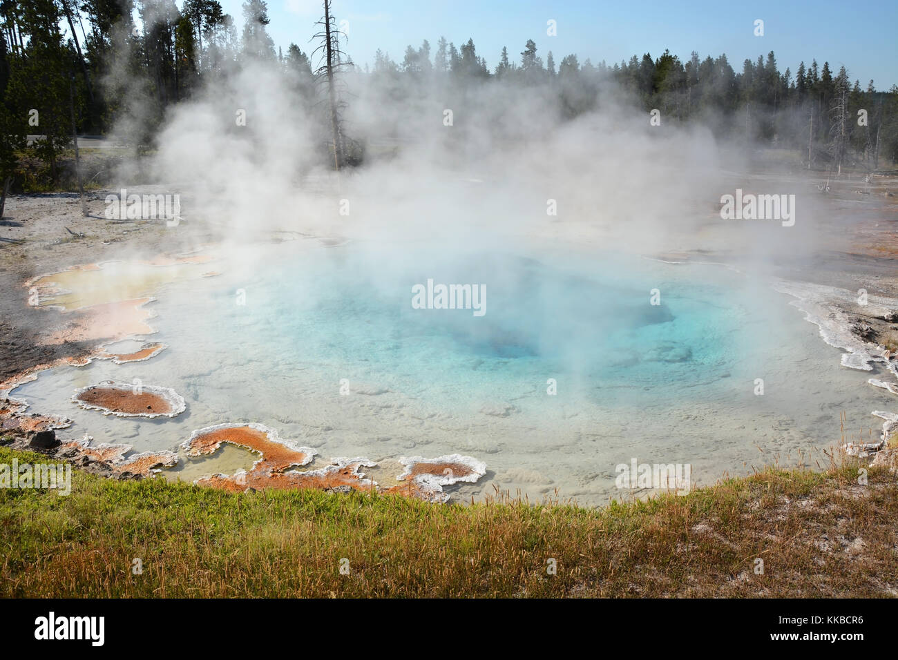 Yellowstone- geyser land Stock Photo - Alamy