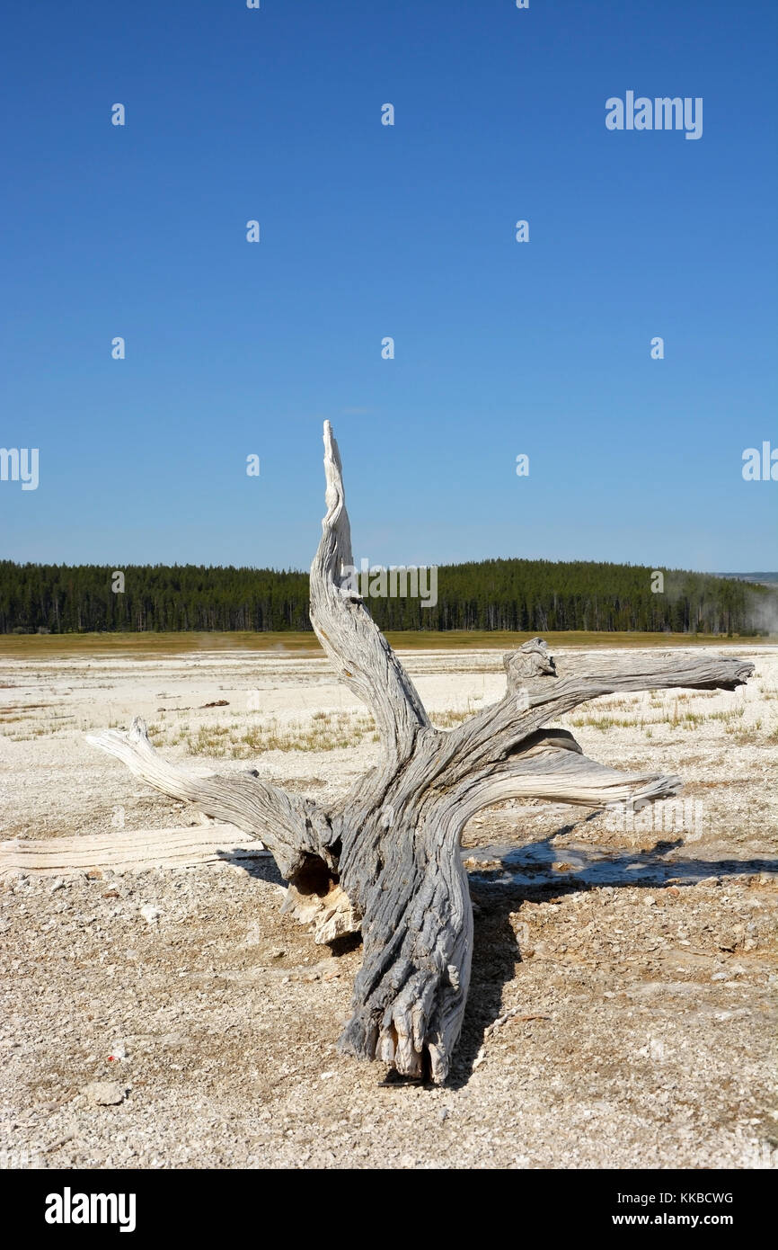 Abstract funny travel backgrounds hi-res stock photography and images ...