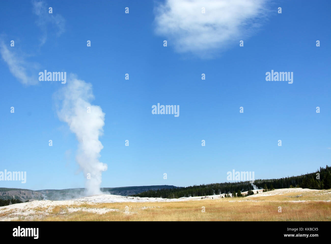 Old faithful geyser Stock Photo - Alamy