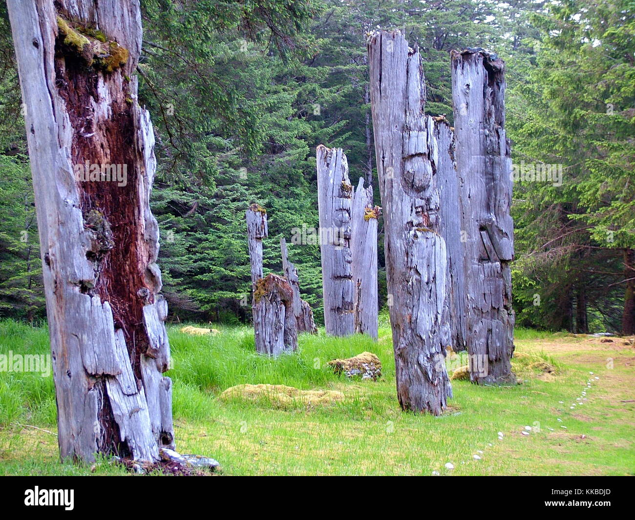 Historic Totem Poles, SGang Gwaay Island, Haida Gwaii (Queen Charlotte ...