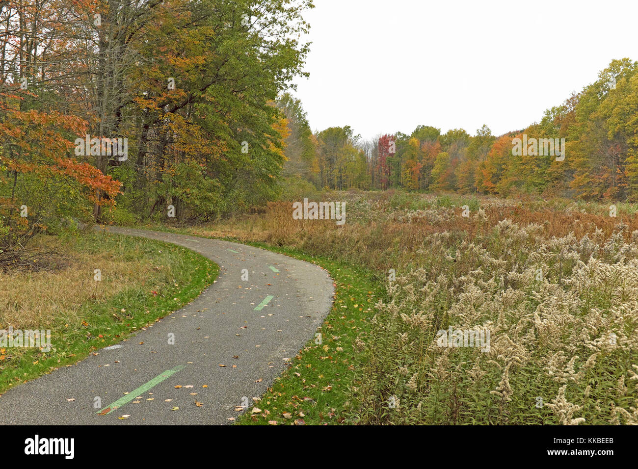 Cleveland ohio public park system hi-res stock photography and images ...