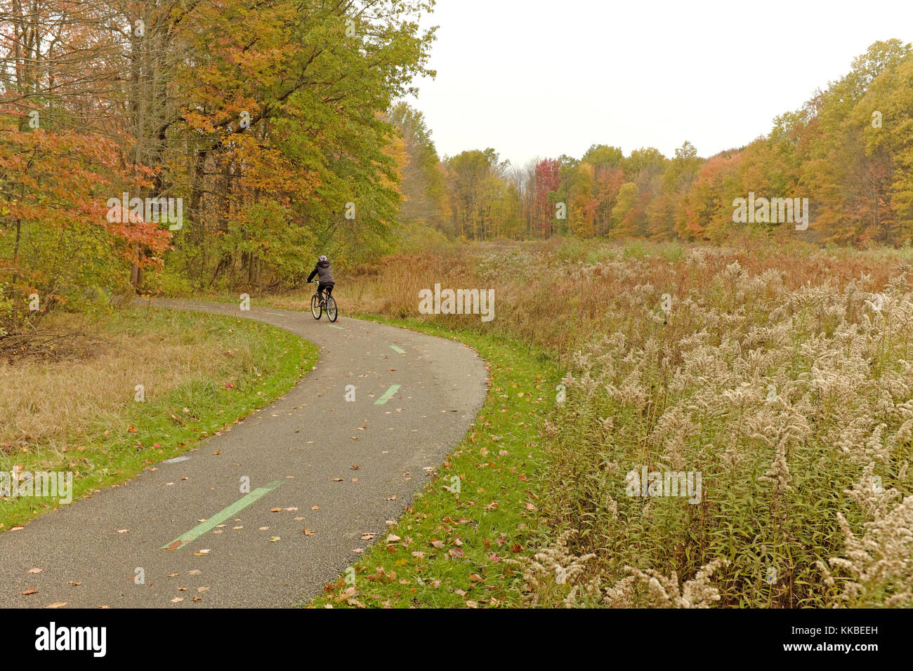Cleveland metroparks fall leaves hi-res stock photography and images ...