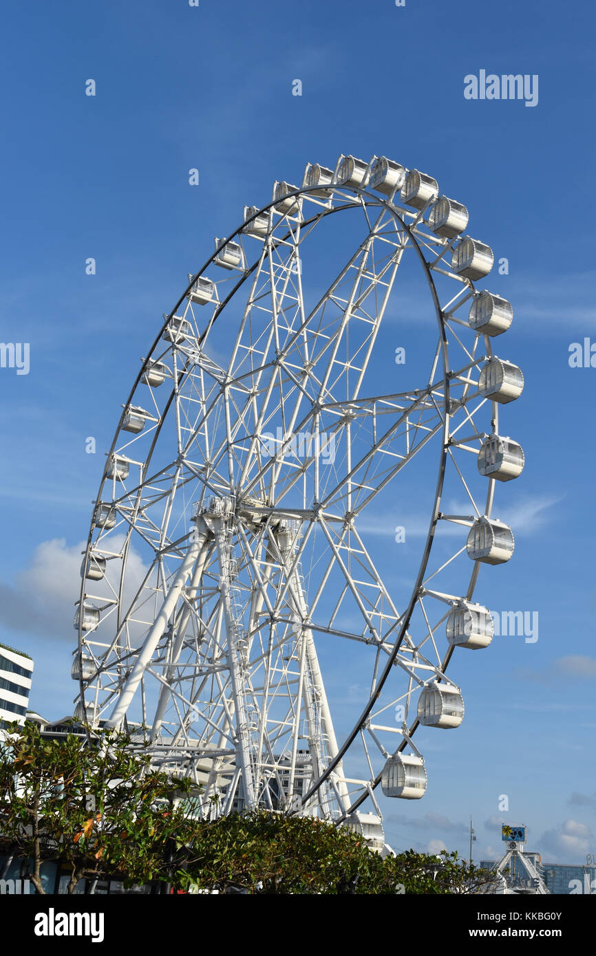 Moa eye hi-res stock photography and images - Alamy