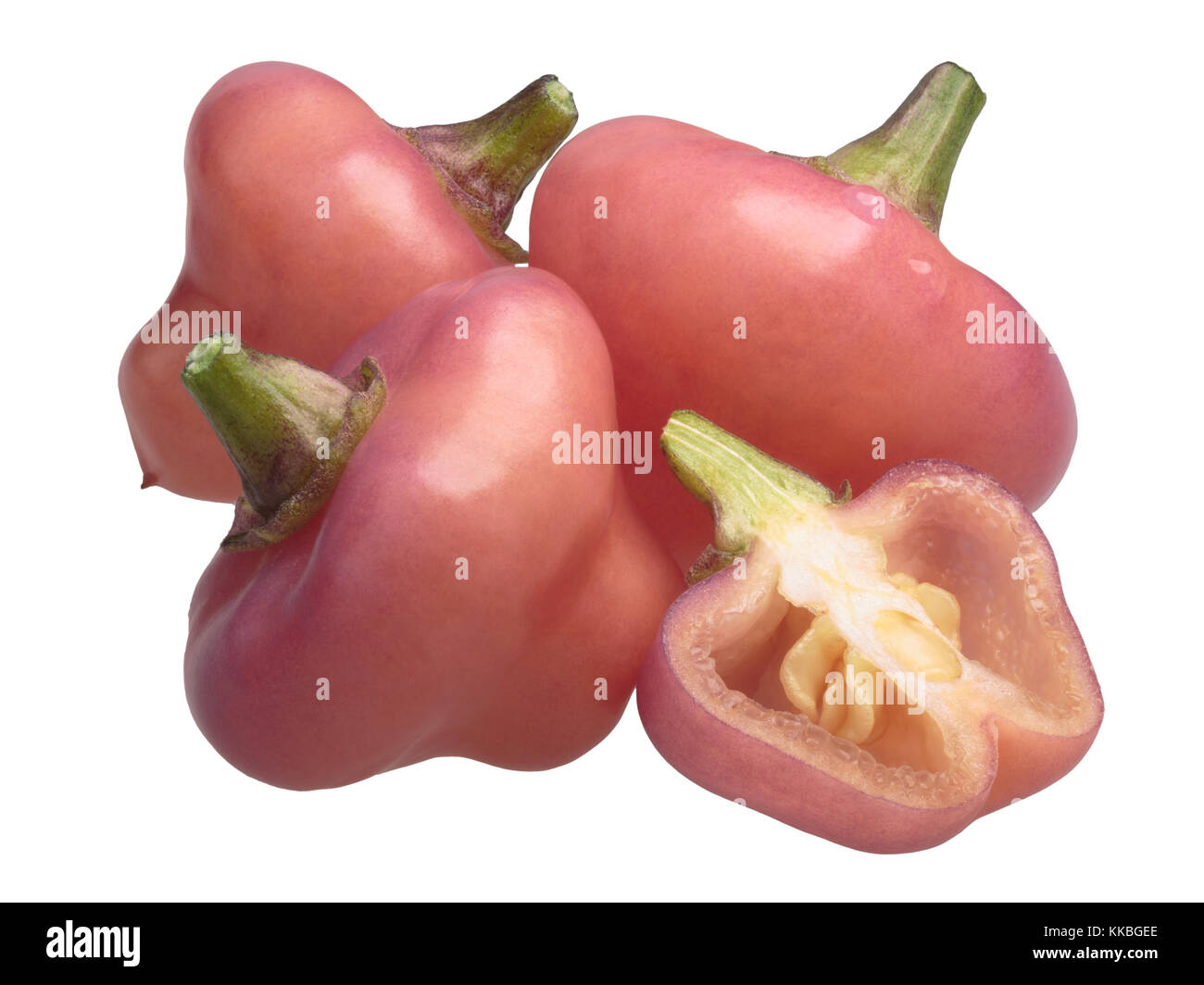 Cheiro Roxa chile peppers (Capsicum chinense), ripe pods. Clipping path ...