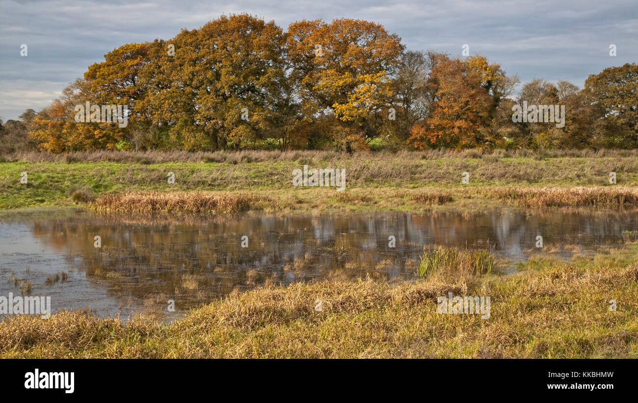 River Adur and Adur Valley, West Sussex Stock Photo - Alamy