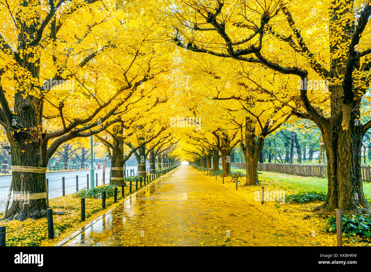 Icho tower hi-res stock photography and images - Alamy