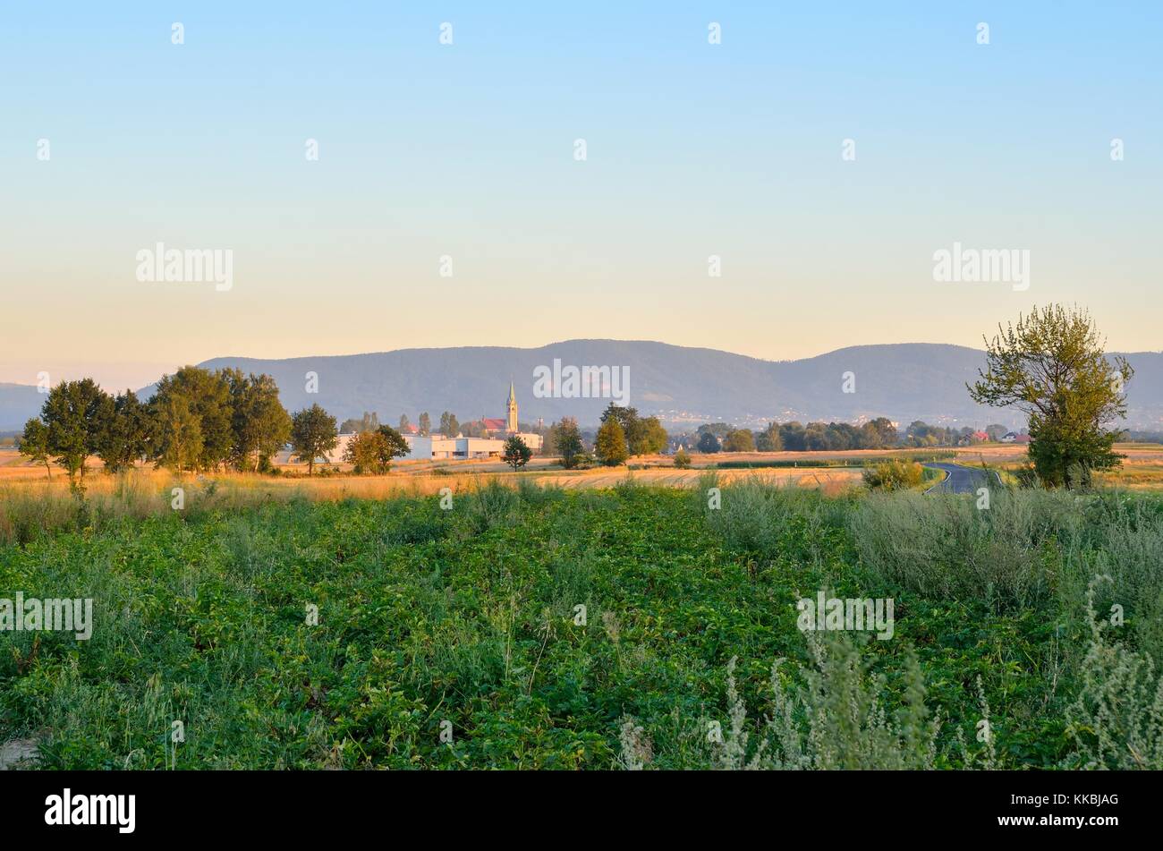 Summer rural landscape. Meadows and mountains in summer evening scene ...