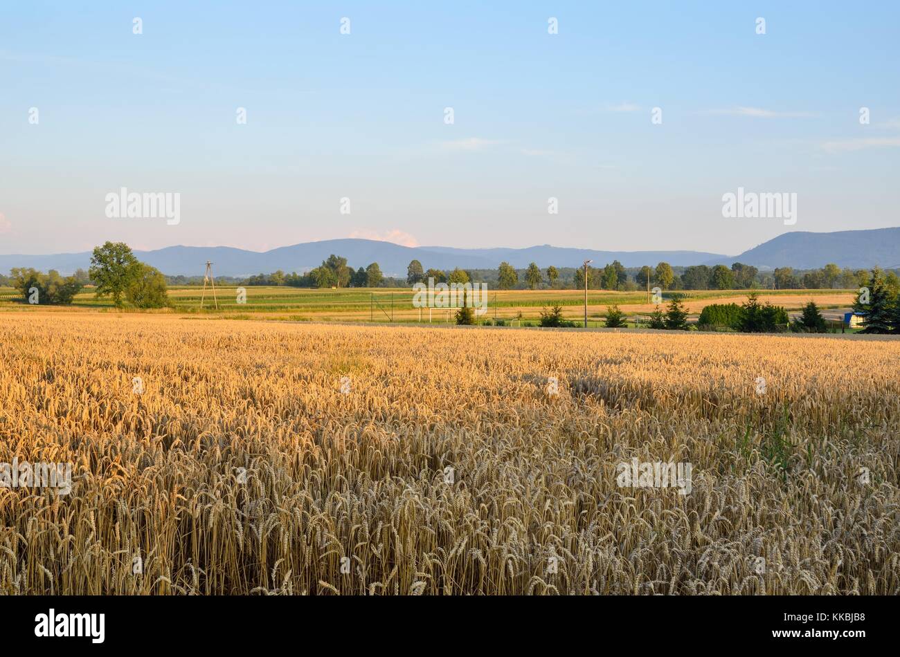 Summer afternoon landscape. Beautiful rural scenery with mountains in ...
