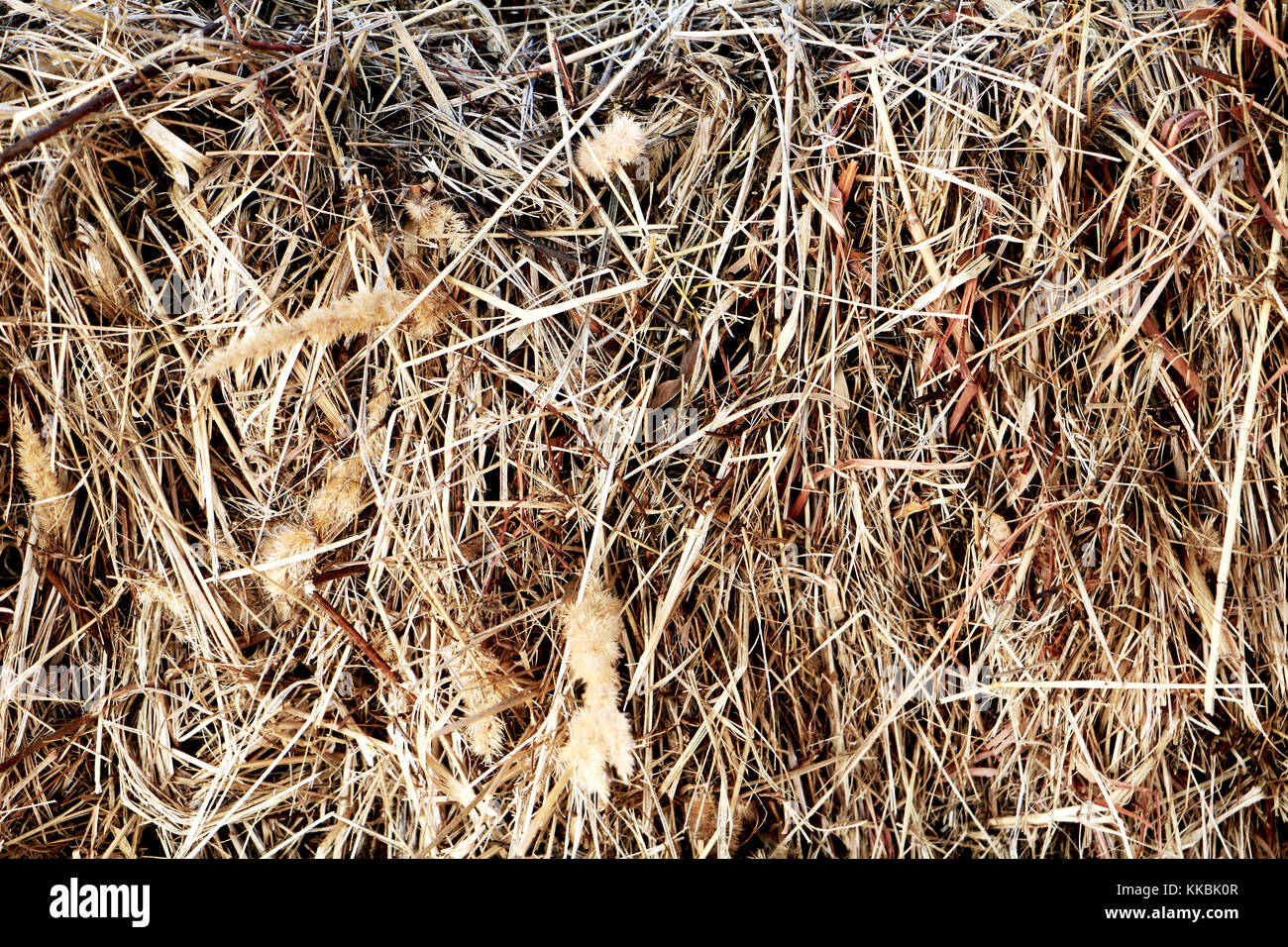 Straw texture wallpaper background hi-res stock photography and images ...