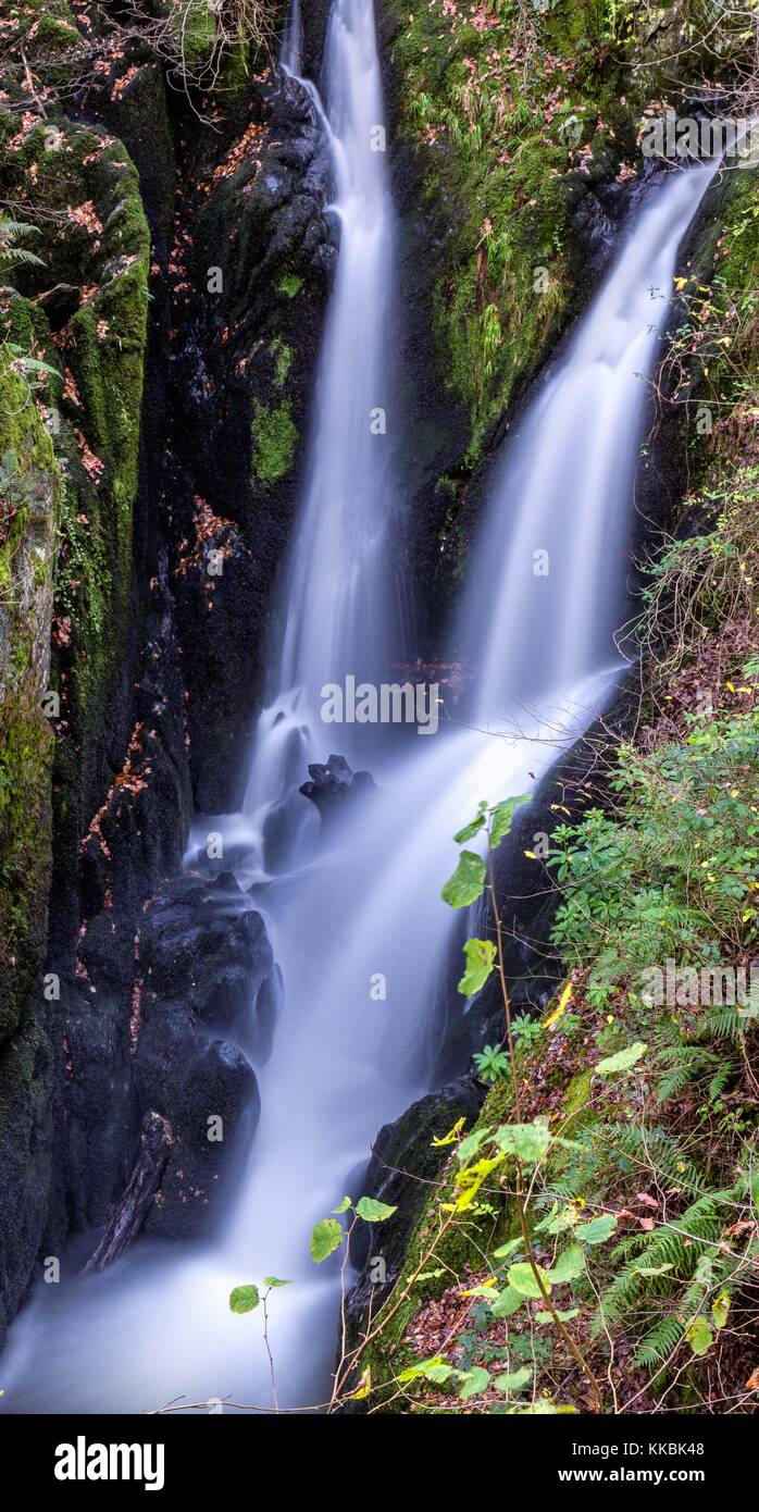 Stock Ghyll Force Waterfall Stock Photo - Alamy
