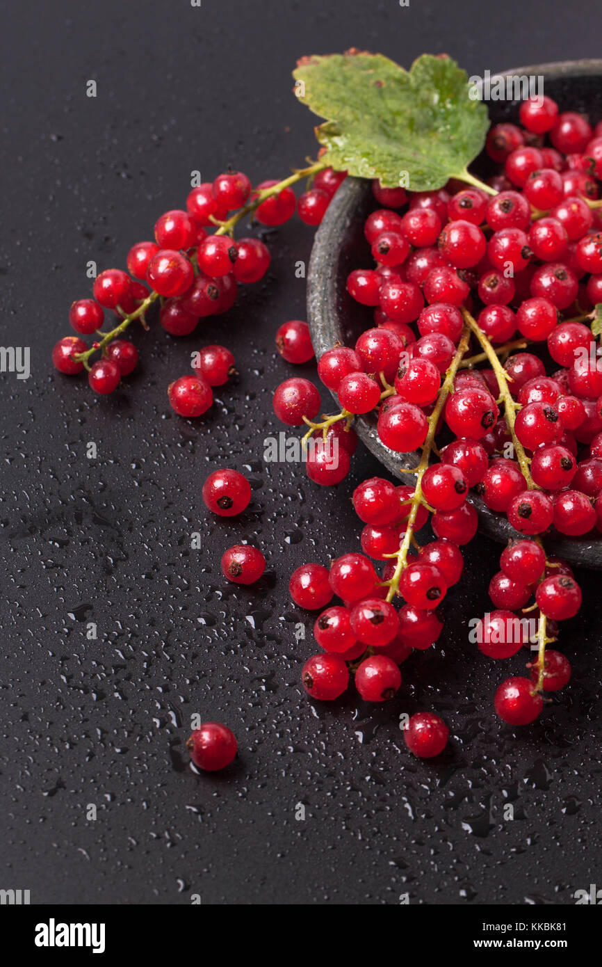 Currant leaf spot hi-res stock photography and images - Alamy
