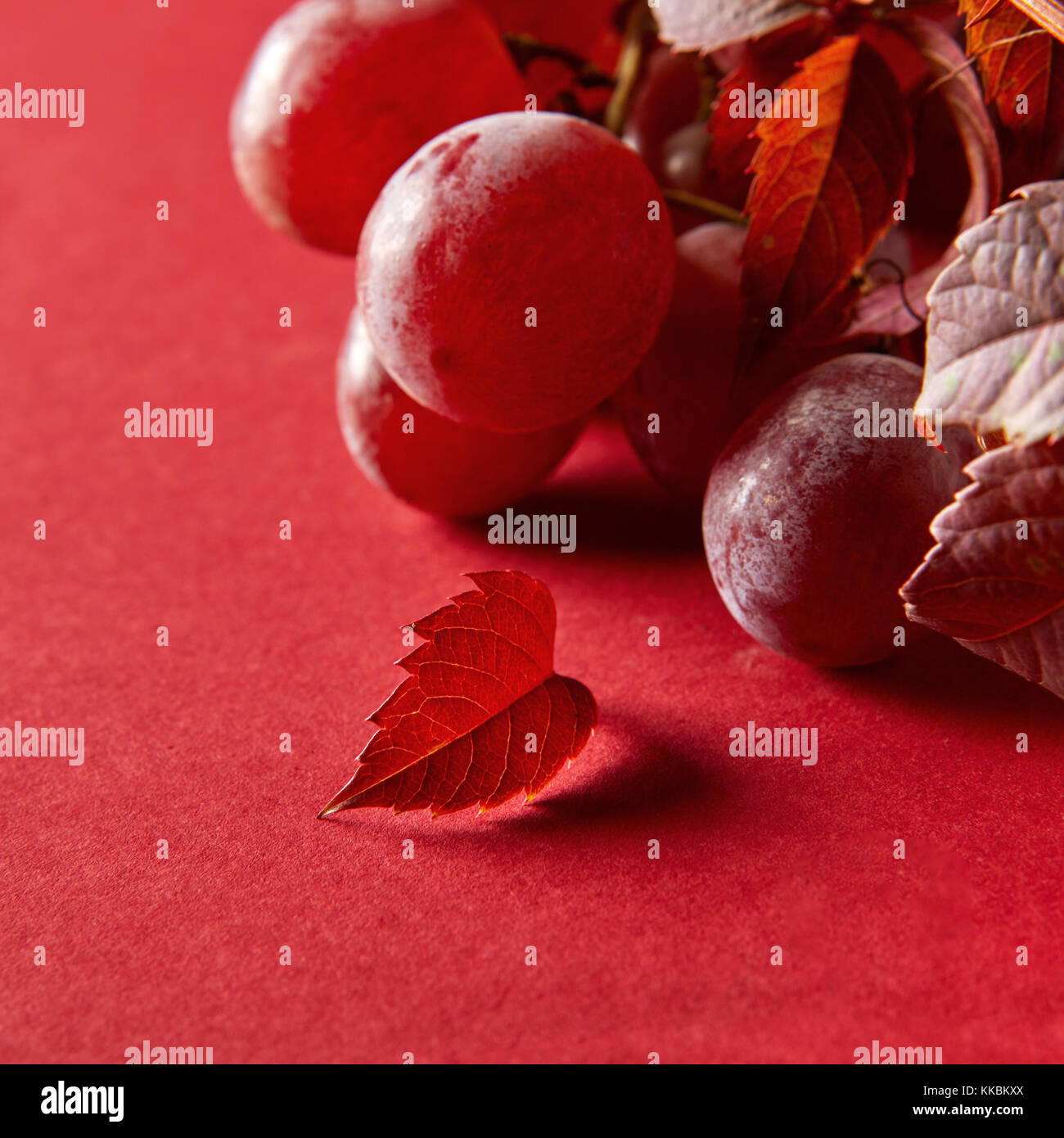 bunch of ripe red grapes Stock Photo - Alamy