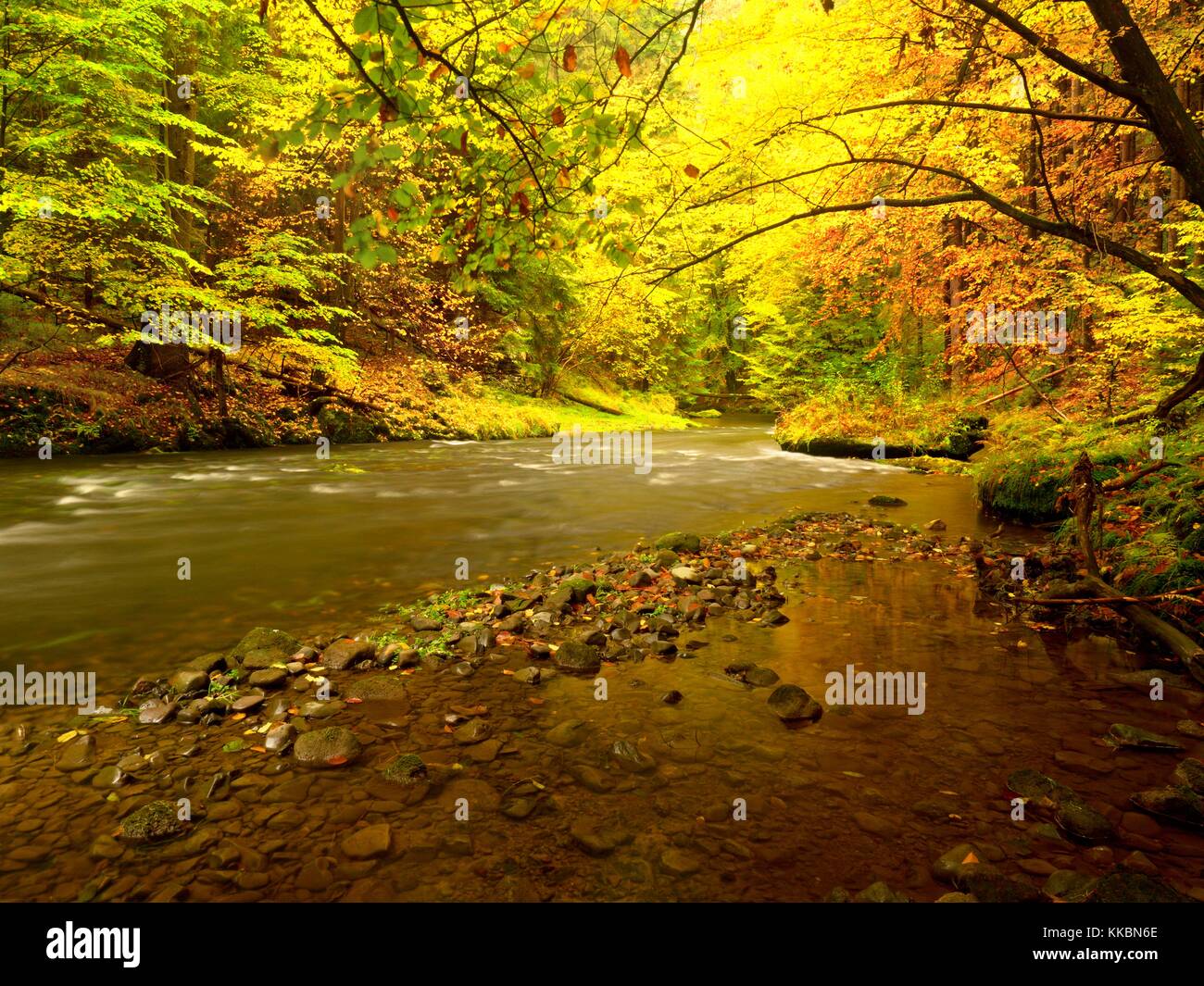 Hike in autumn nature. Evening at river in bright autumn colors ...