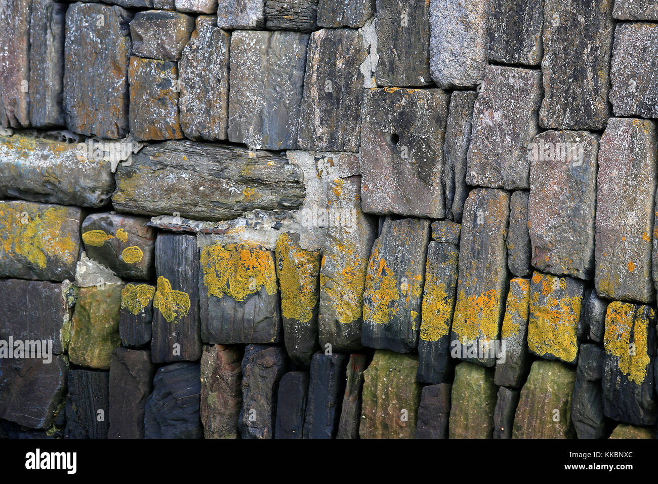 Portsoy festival is celebrated every Summer in the harbour. This ...