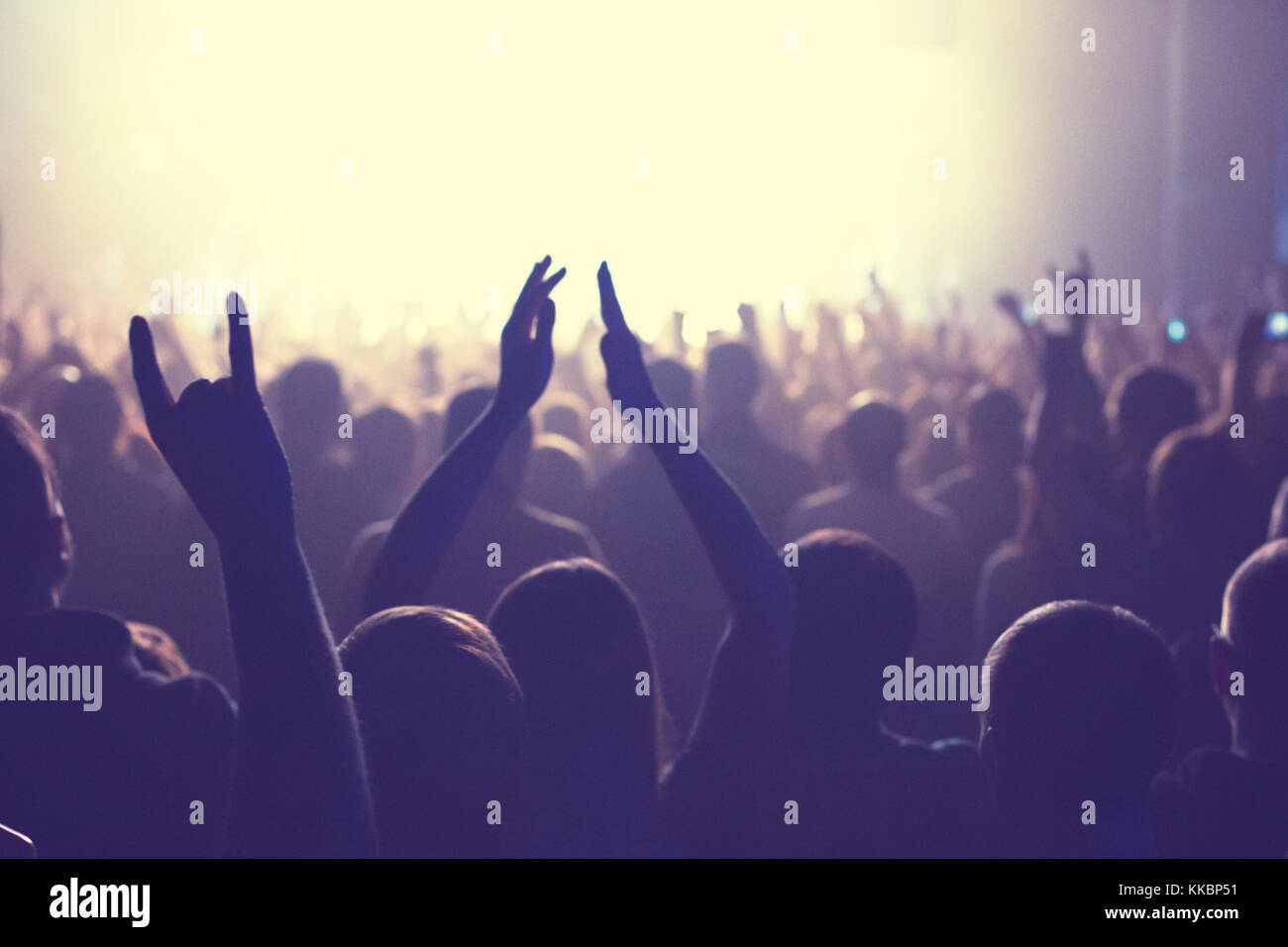 The audience watching the concert on stage Stock Photo - Alamy