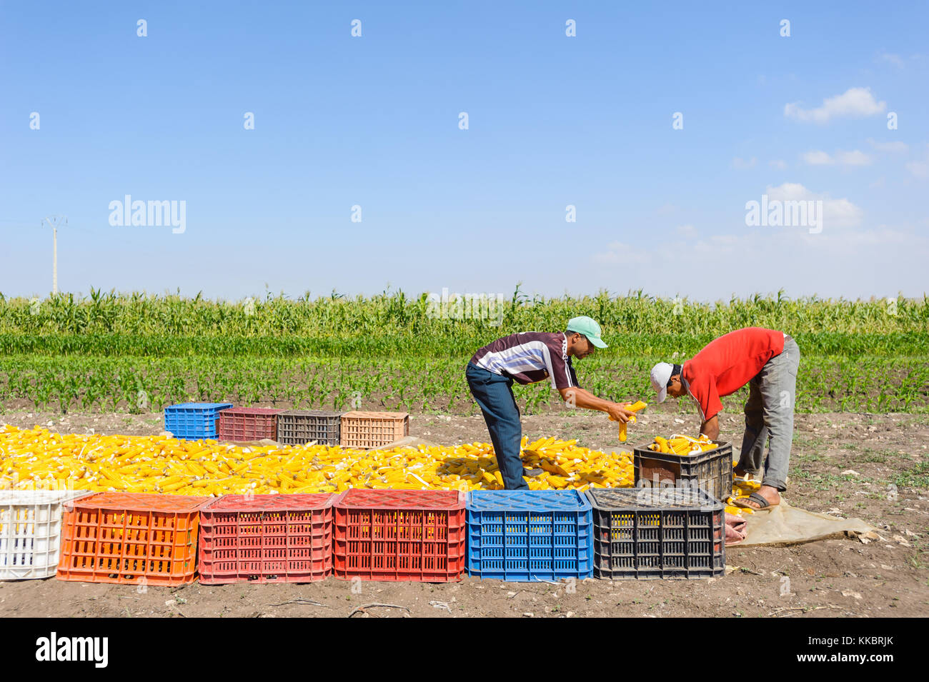 Preparing for export hi-res stock photography and images - Alamy
