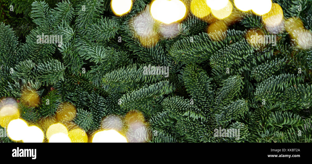 Christmas background with evergreen tree Stock Photo - Alamy