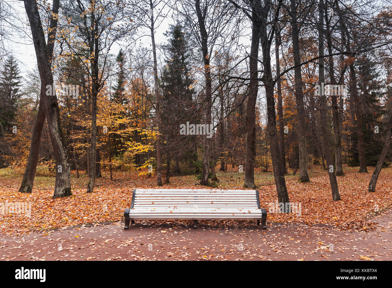 Empty bench nature hi-res stock photography and images - Alamy