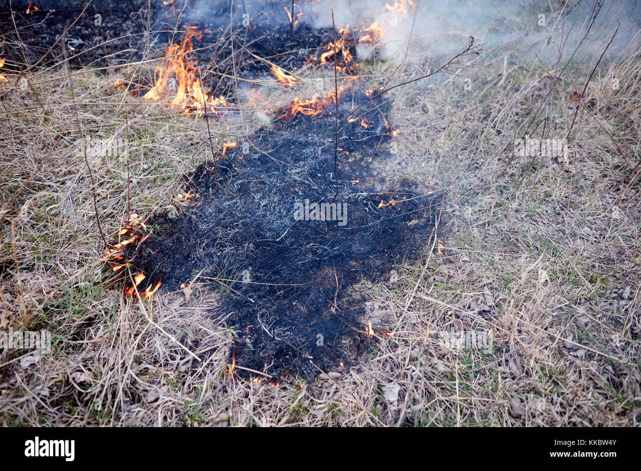 Back burning hi-res stock photography and images - Alamy