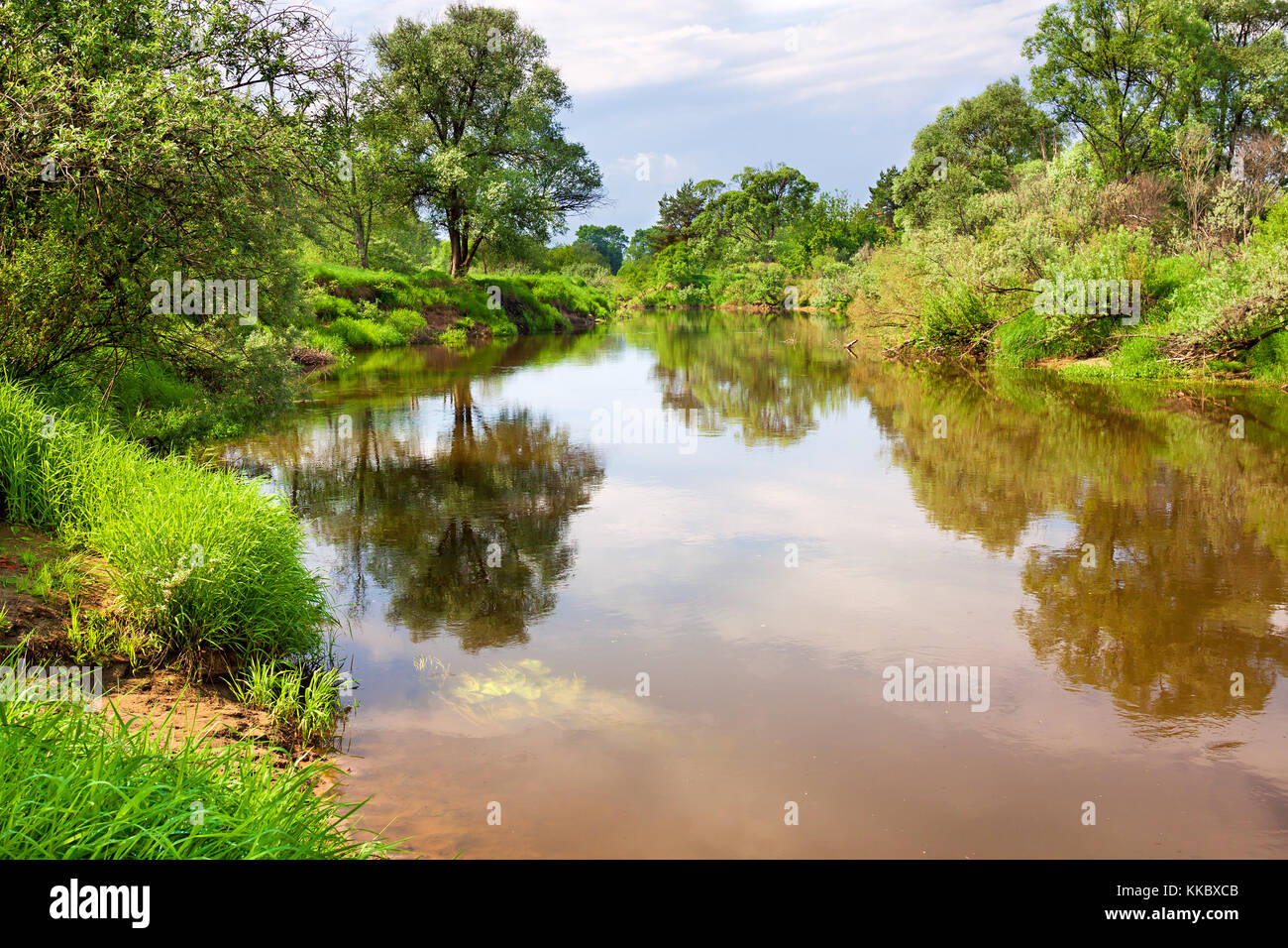 spring rural landscape with river, forest. reflection in river Stock ...