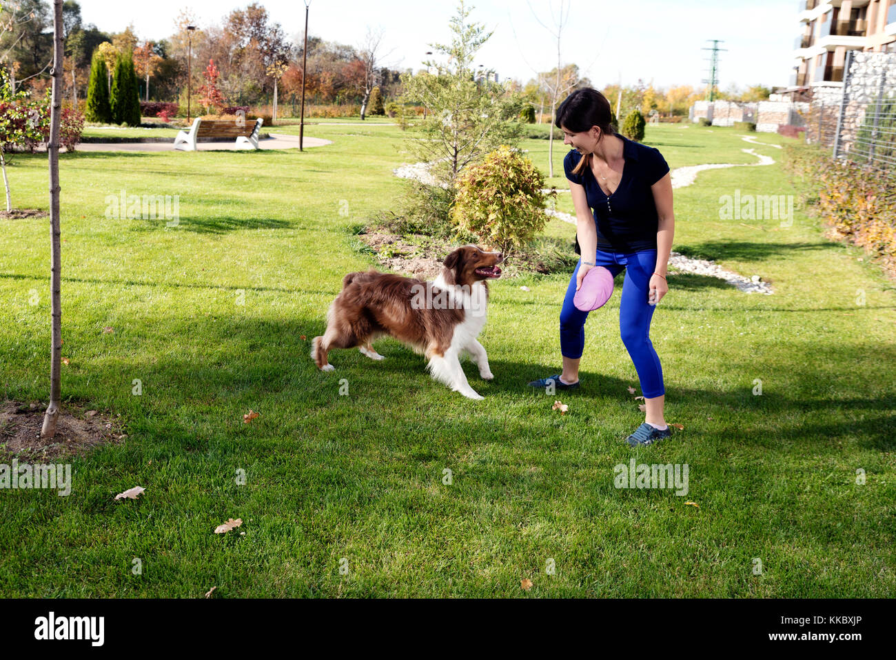 Dog Trainer Fetch Play Stock Photo - Alamy