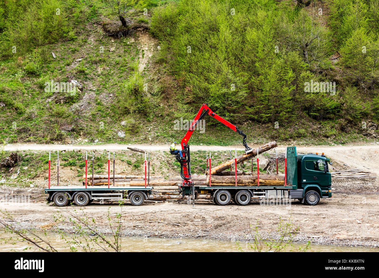 Image of truck loading timber Stock Photo - Alamy