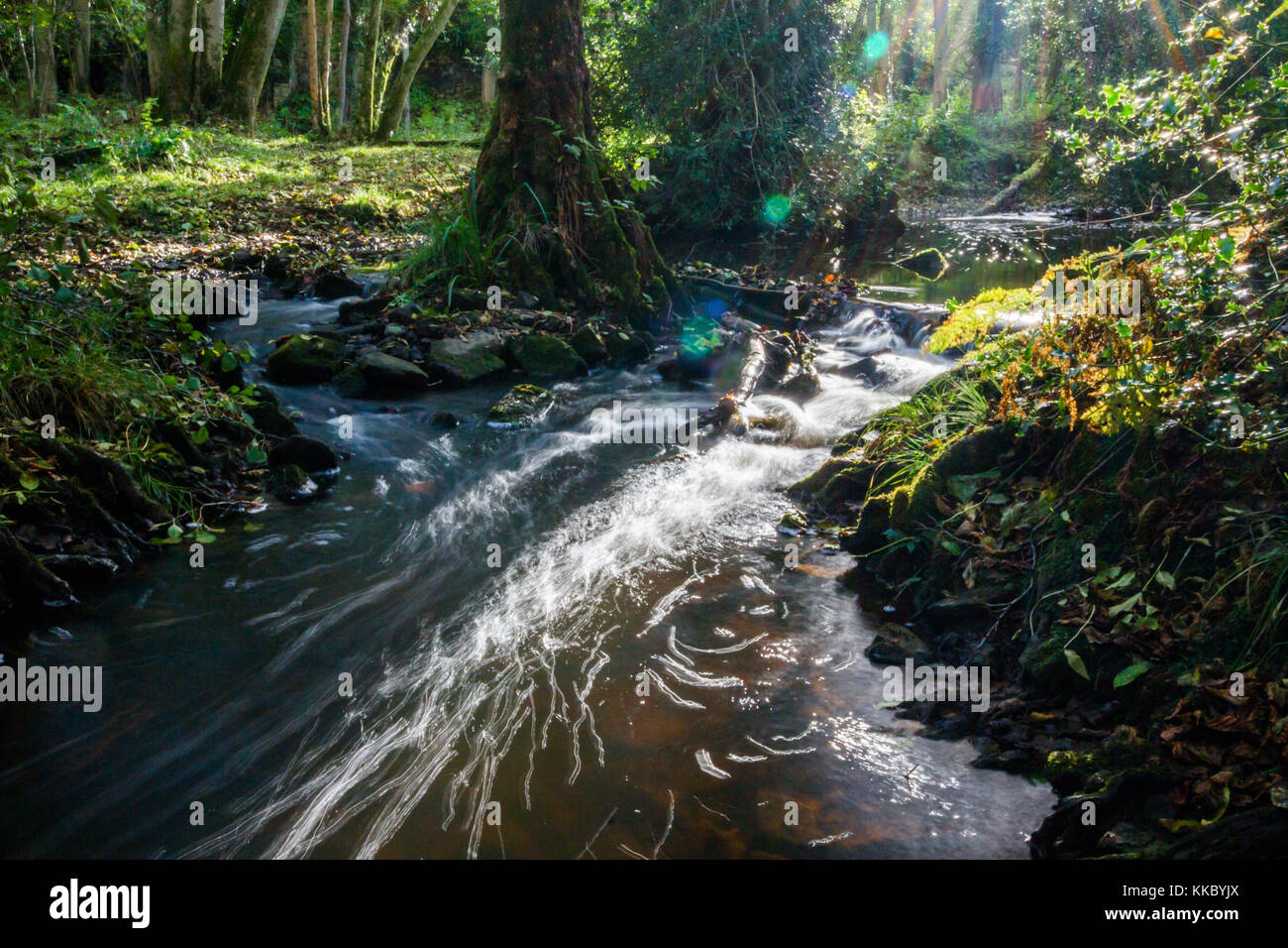 Crowborough east sussex hi-res stock photography and images - Alamy
