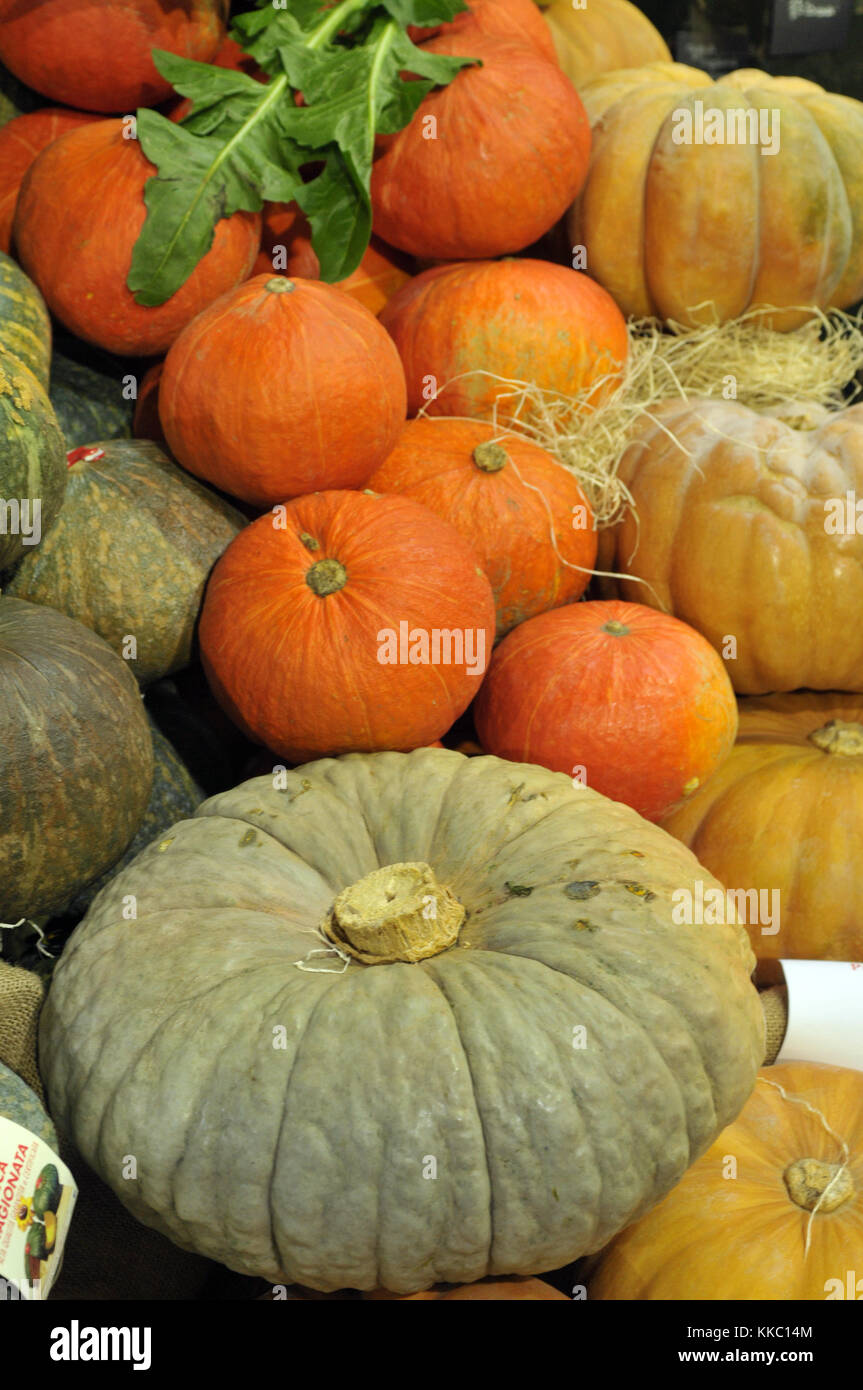 Pumpkins in different shapes and sizes hi-res stock photography and ...