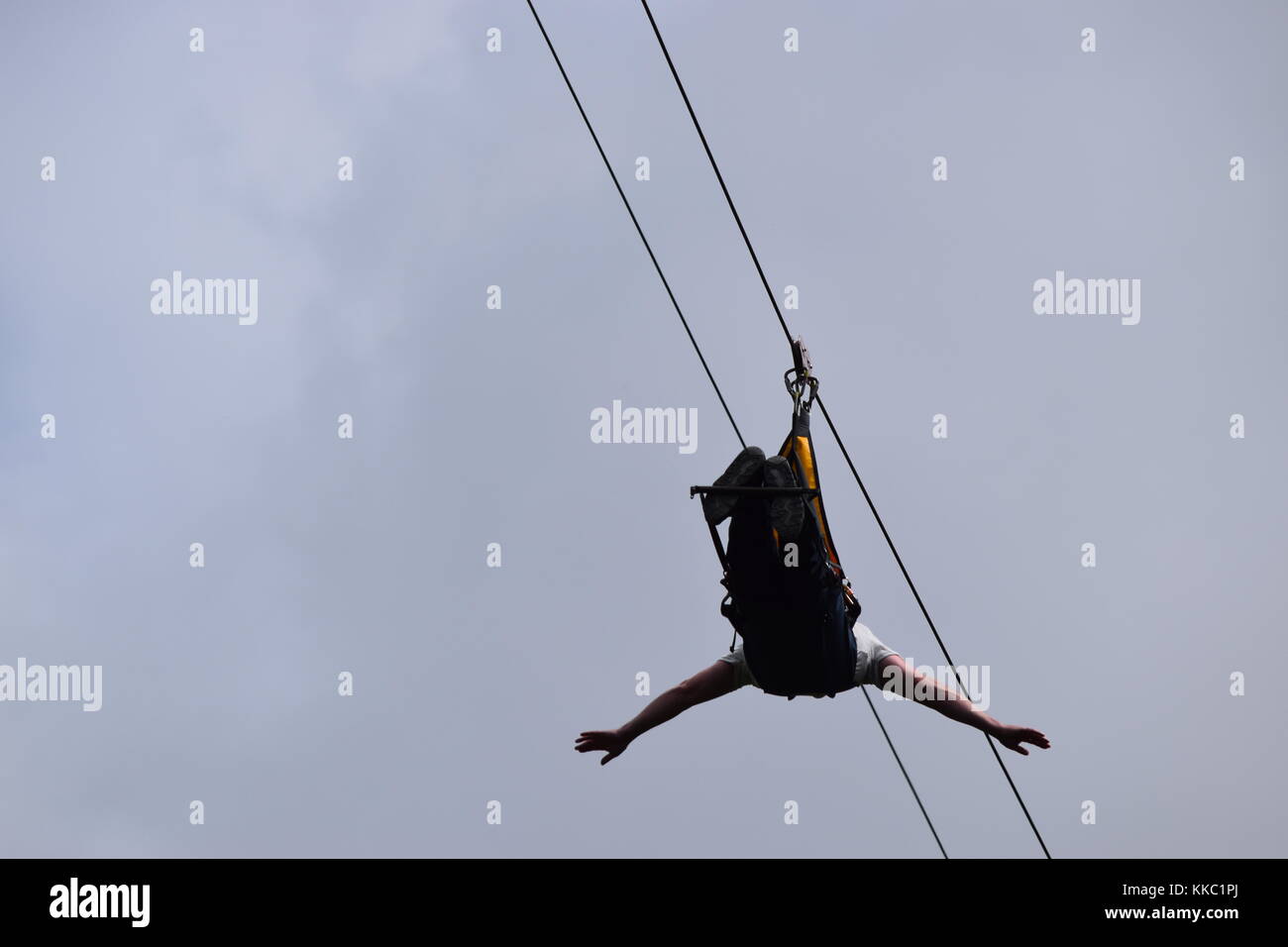 Zip wire from below Stock Photo - Alamy