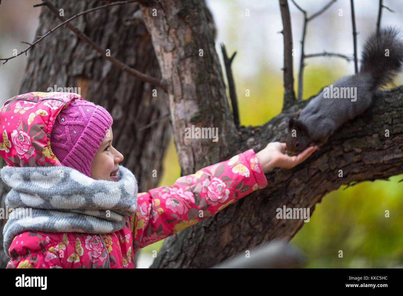 Little girl with hand feeding a squirrel in the Park Stock Photo - Alamy