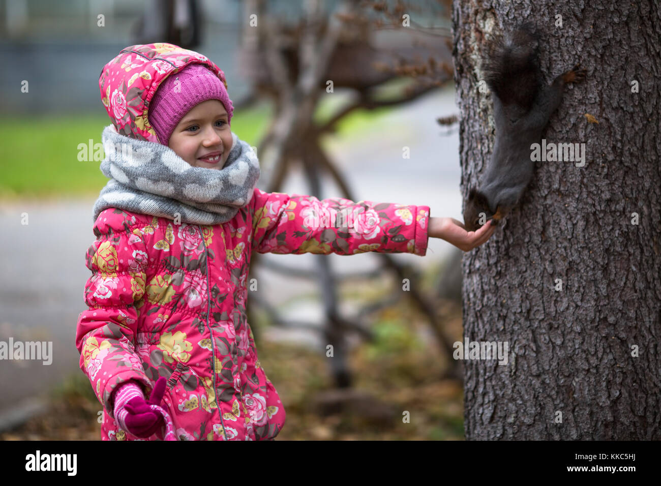 Little girl with hand feeding a squirrel in the Park Stock Photo - Alamy