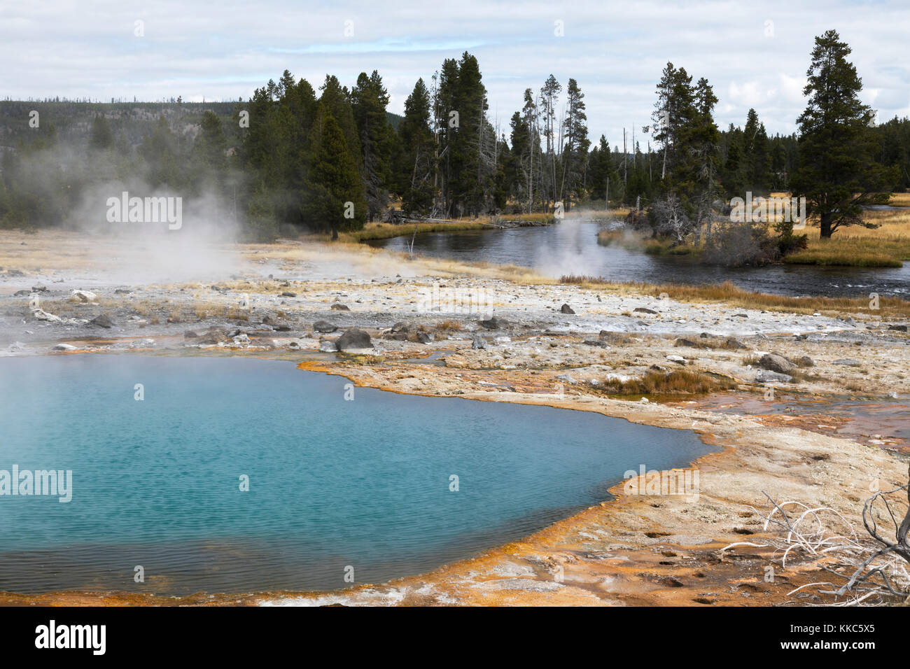 Black Opal Pool Thermal Feature in Biscuit Geyser Basin, Yellowstone ...