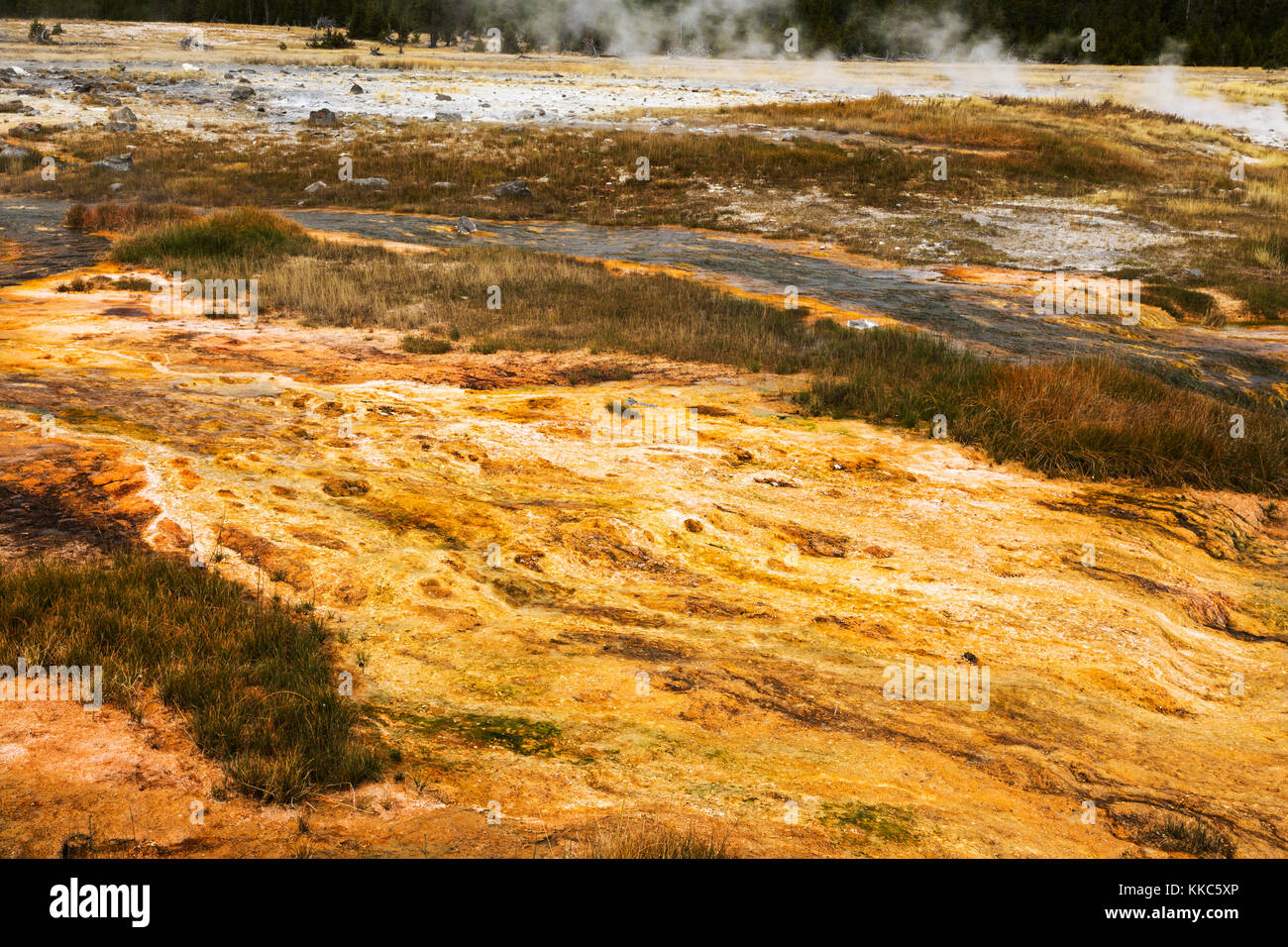 Black Opal Pool Thermal Feature Runoff in Biscuit Geyser Basin ...