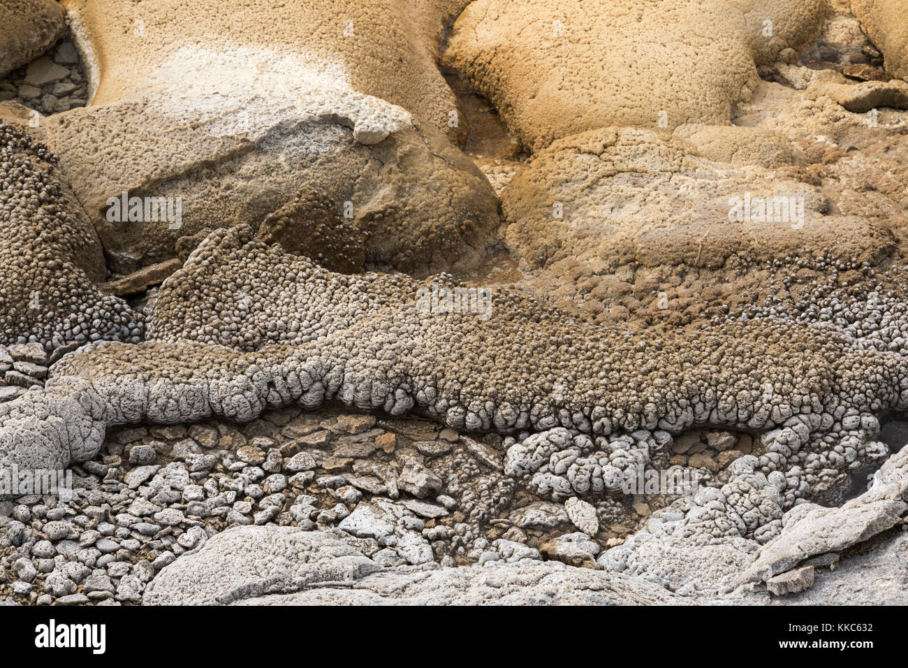 Shell Geyser Thermal Feature in Biscuit Geyser Basin, Yellowstone ...