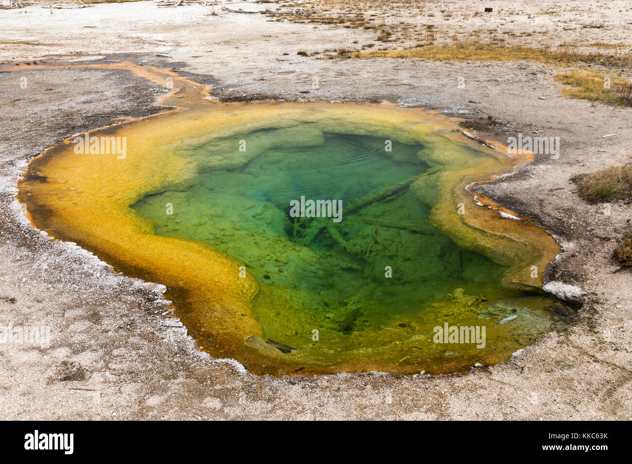 West Geyser Thermal Feature in Biscuit Geyser Basin, Yellowstone ...