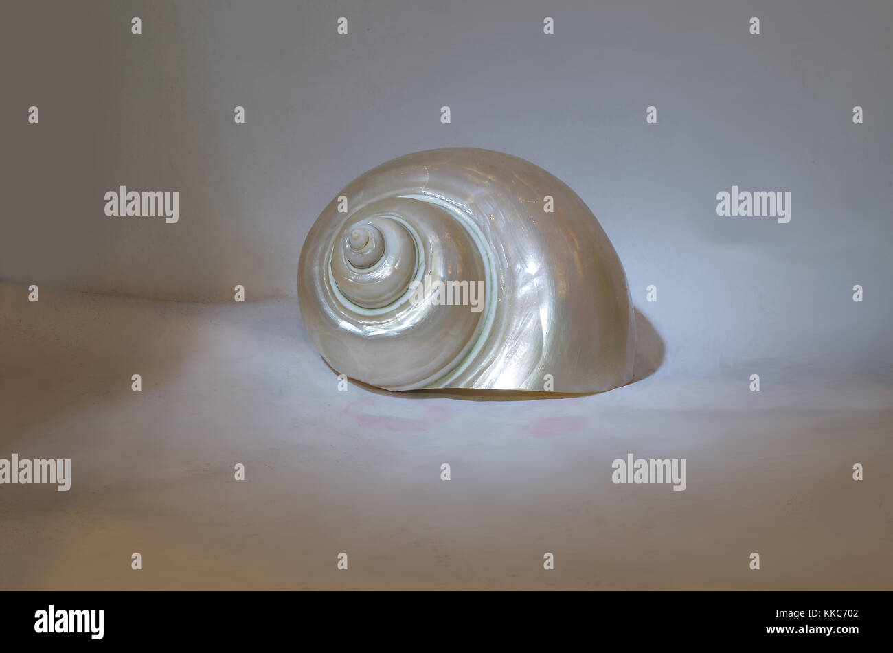 Shiny sea hi-res stock photography and images - Alamy