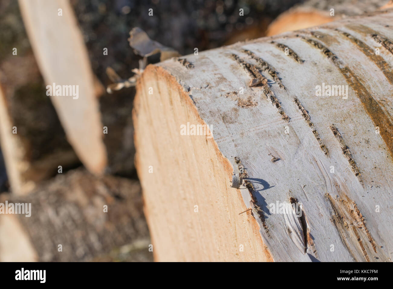 Log Ends High Resolution Stock Photography and Images - Alamy