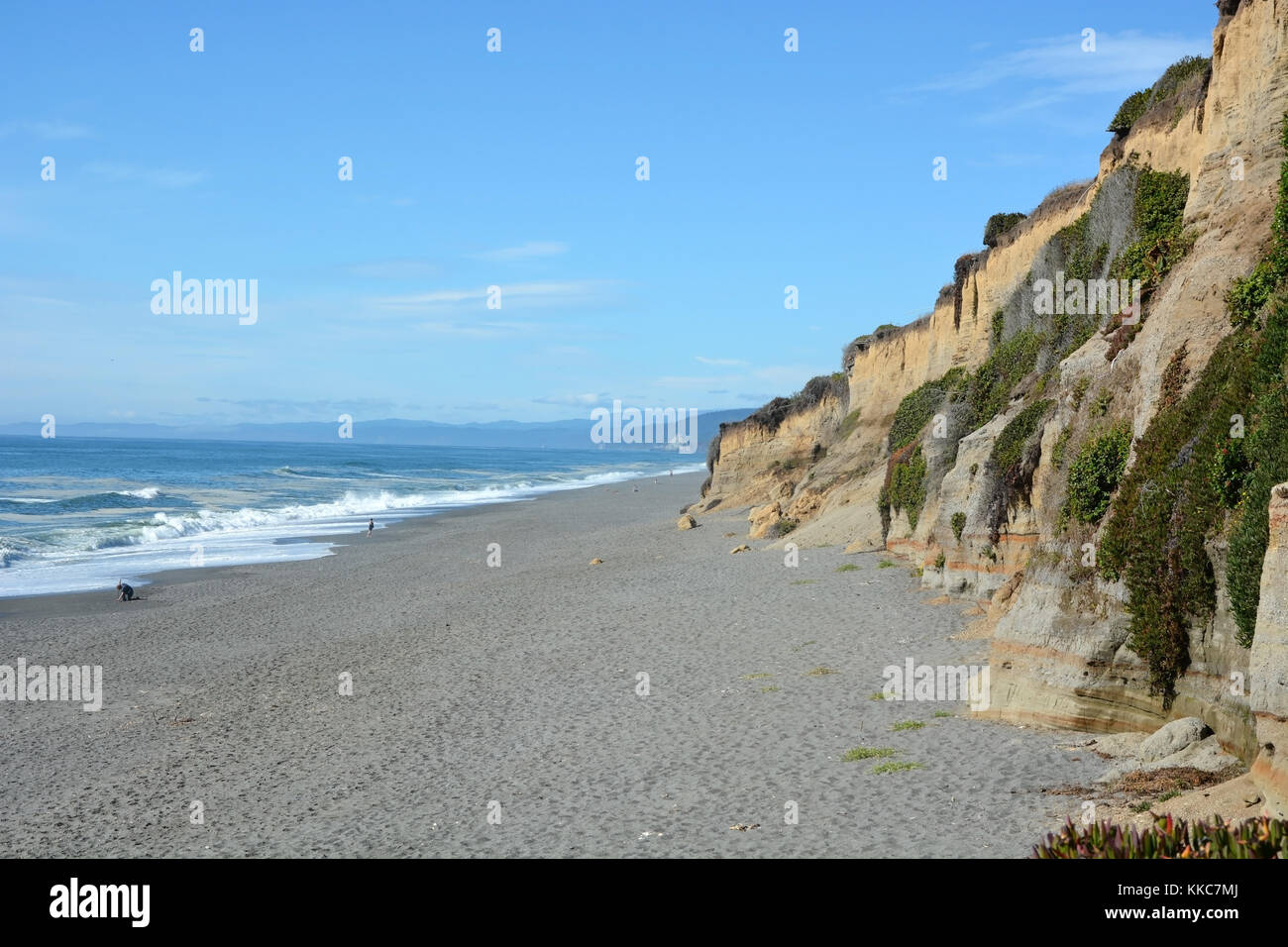 Pacific ocean shore, CA, USA Stock Photo - Alamy