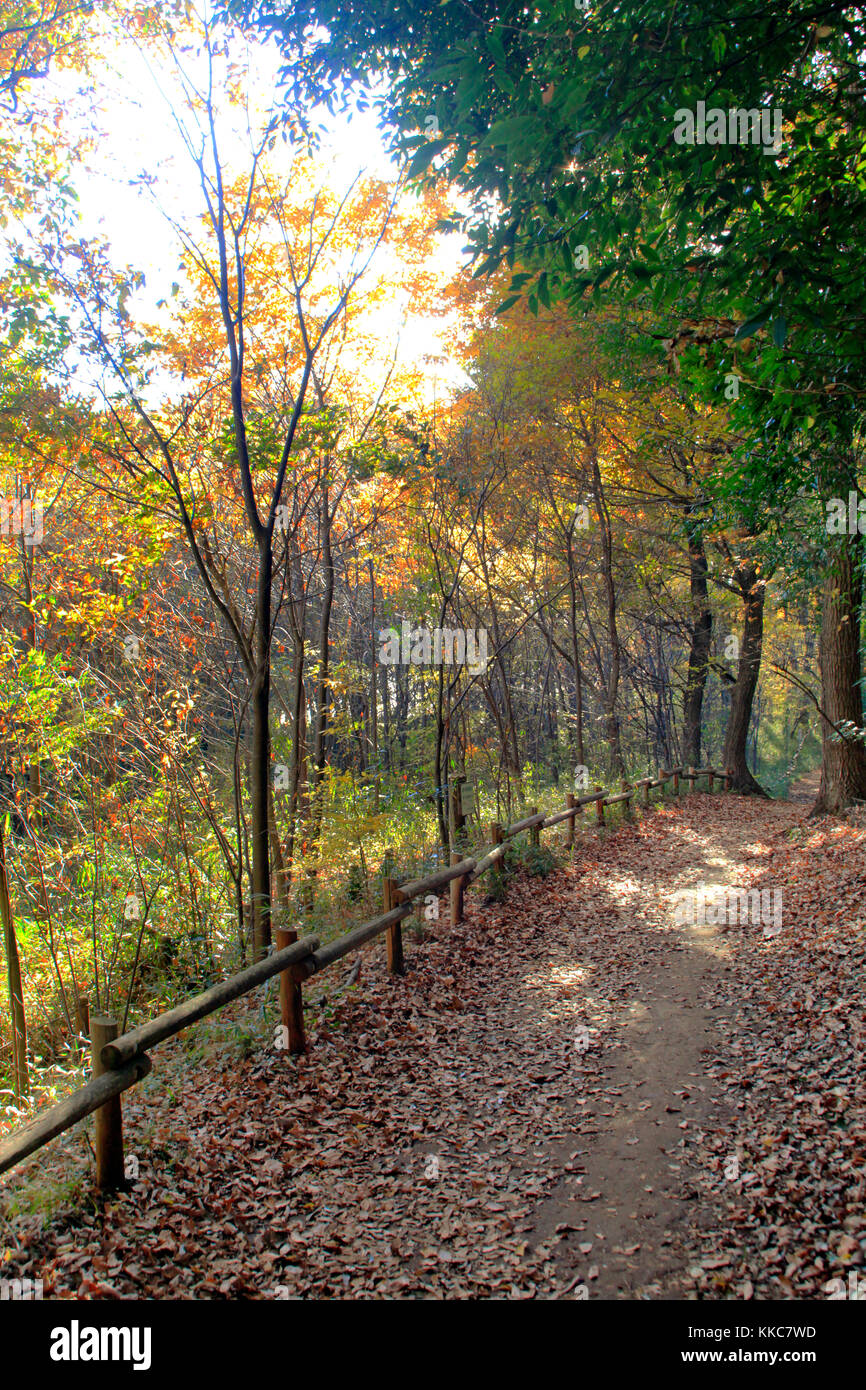 Hachikokuyama Park in Higashimurayama city Western Tokyo Japan Stock ...