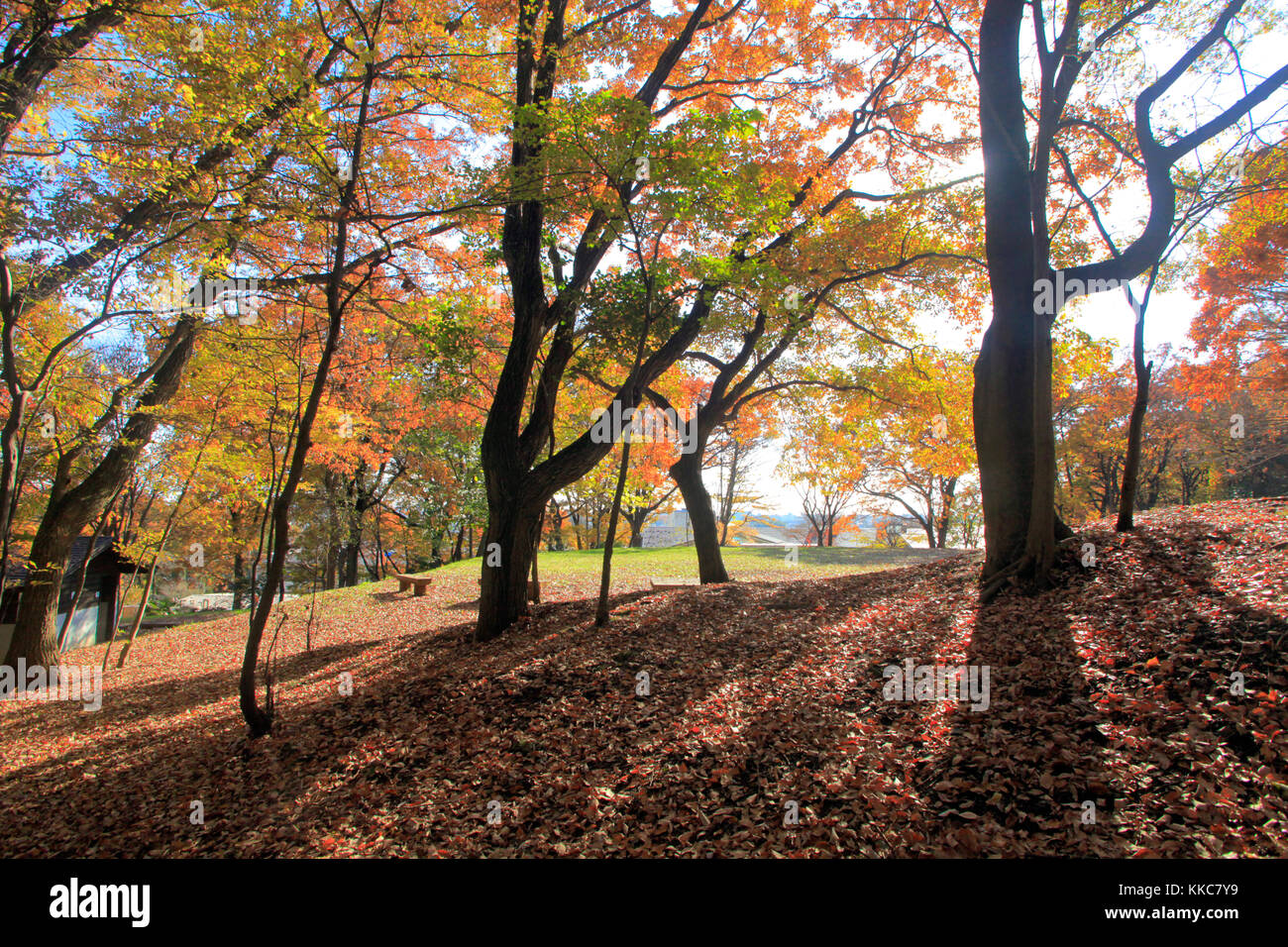 Hachikokuyama Park in Higashimurayama city Western Tokyo Japan Stock ...