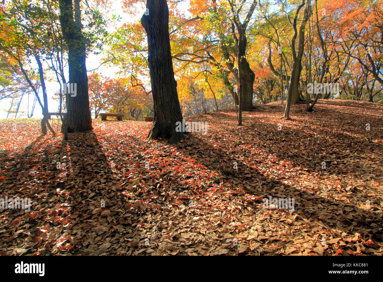 Hachikokuyama Park in Higashimurayama city Western Tokyo Japan Stock ...