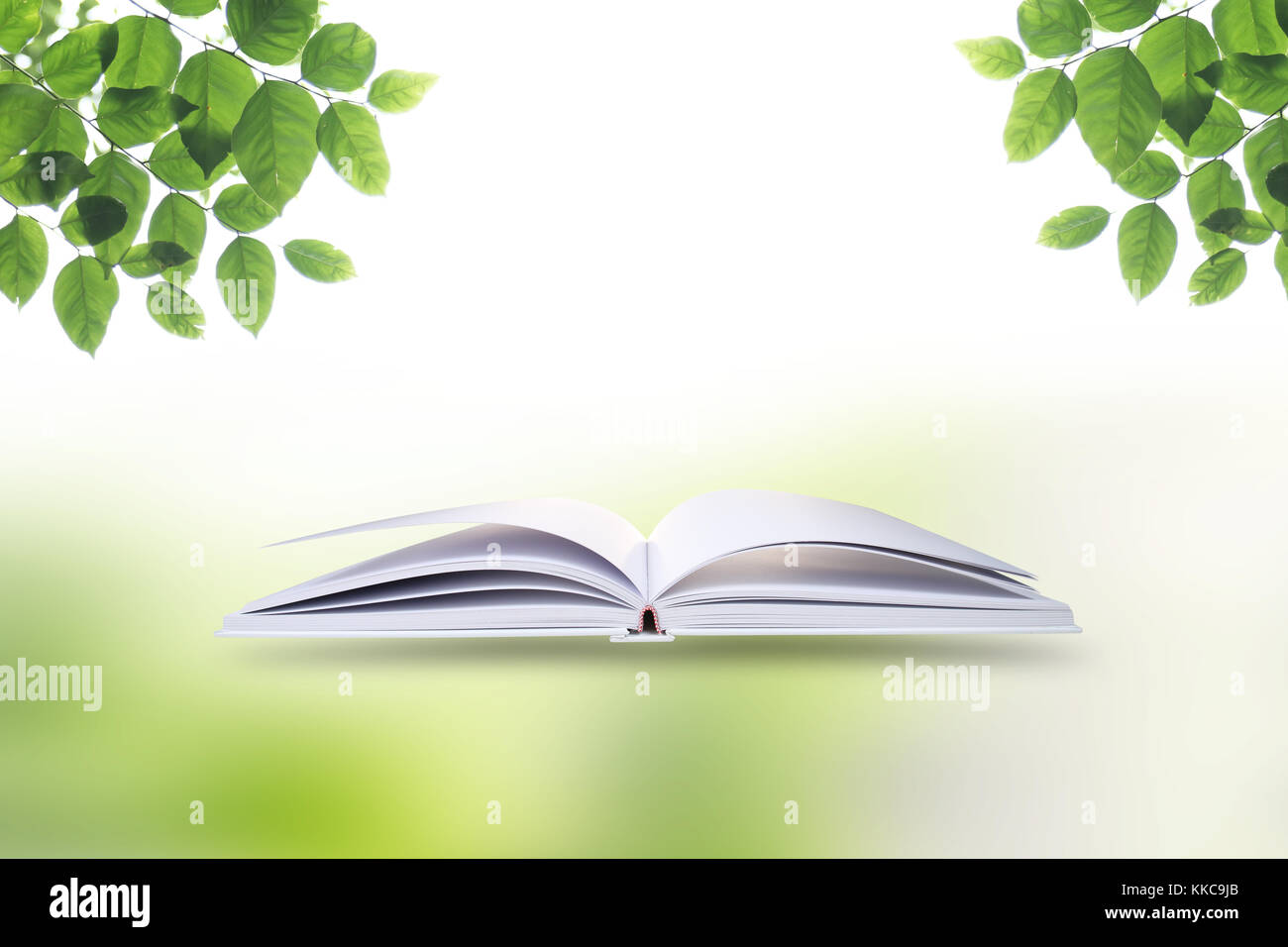 Open book with natural background Stock Photo - Alamy