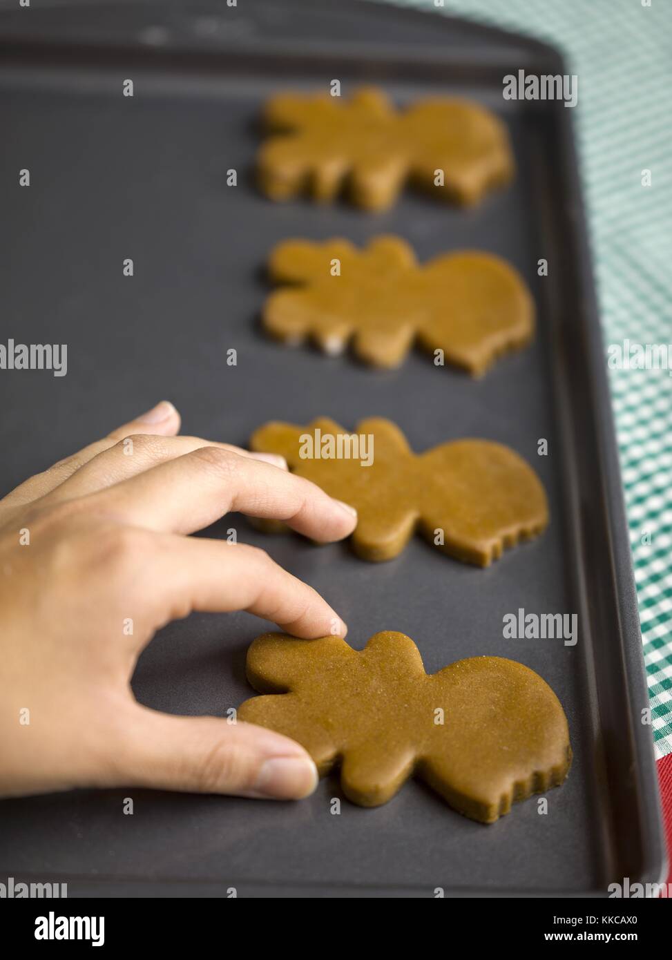 Hand holding tray cookie hi-res stock photography and images - Alamy