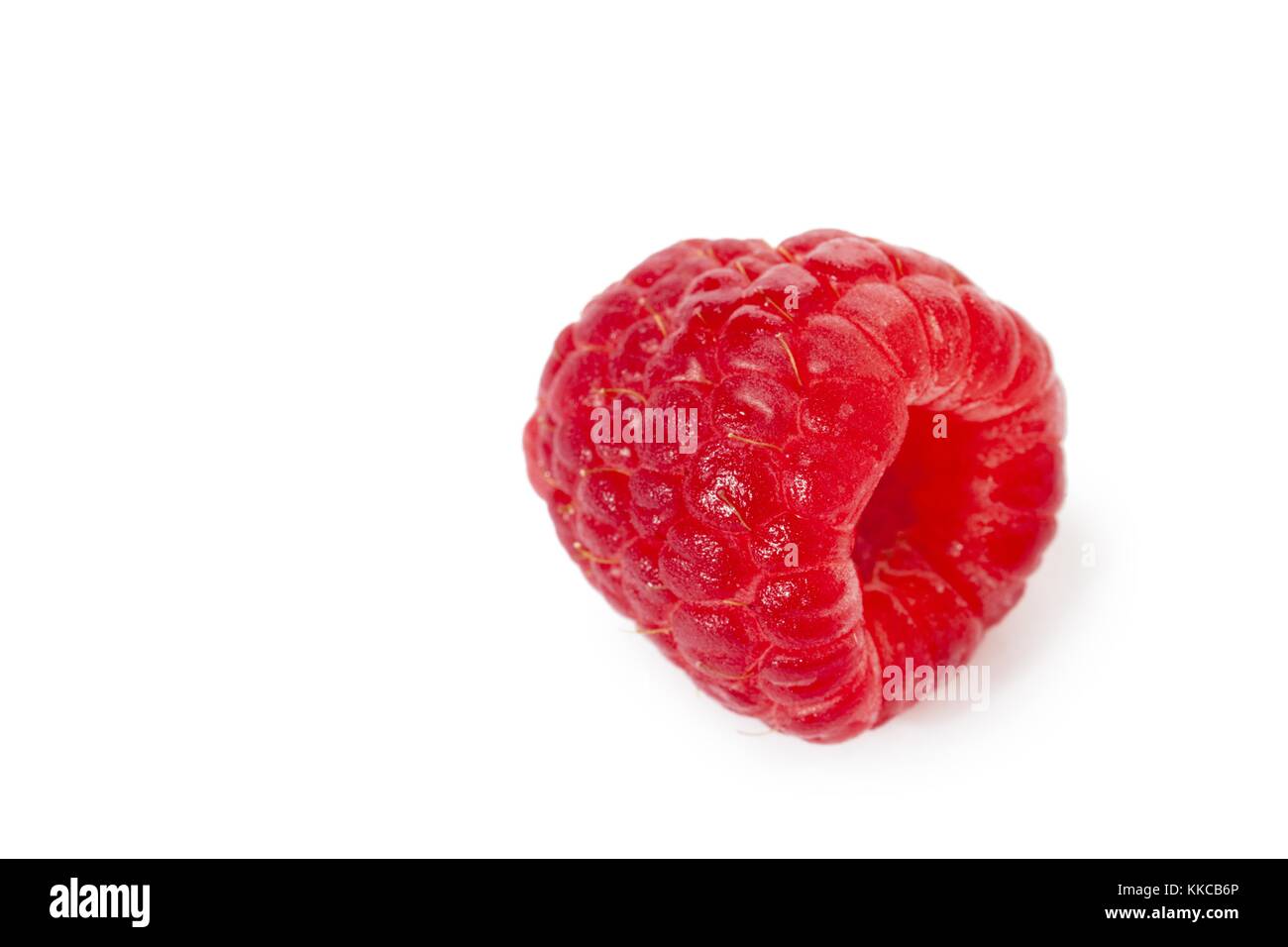 Single featured hi-res stock photography and images - Alamy