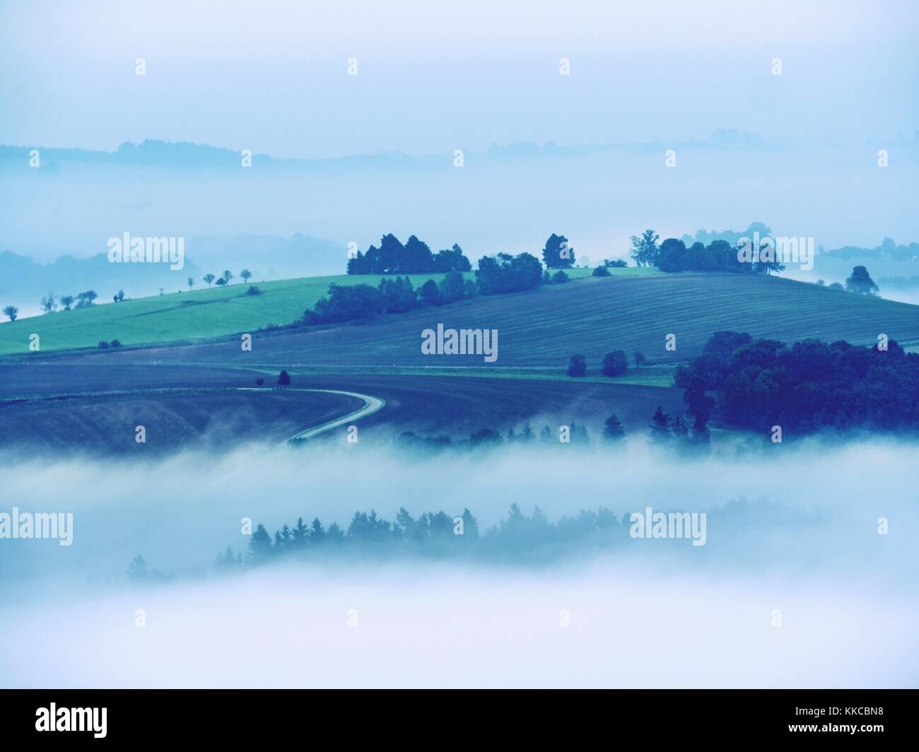 Cold misty blue morning. A minute before sunrise in a beautiful valley ...