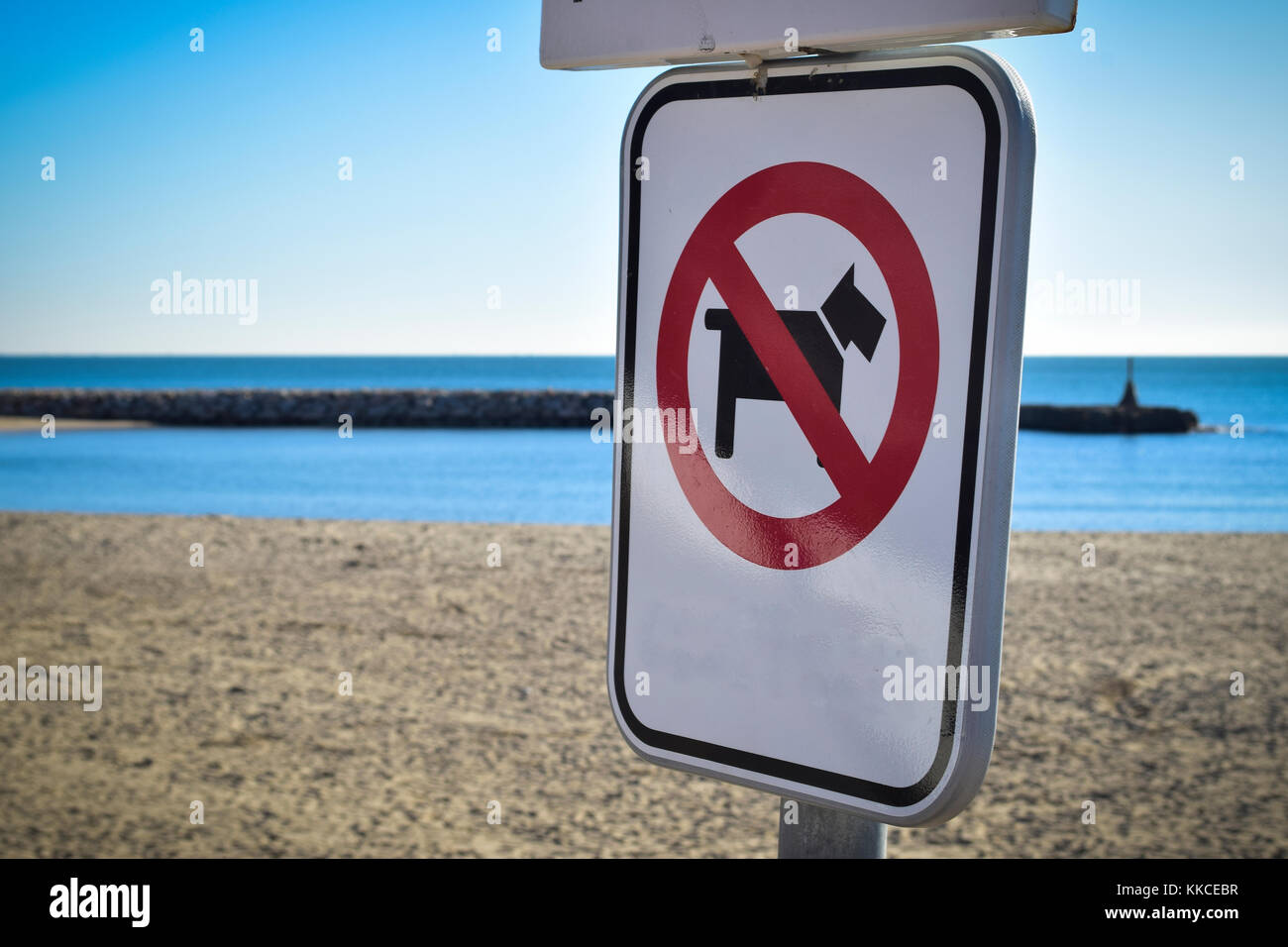 Warning sign near the beach, no dogs allowed Stock Photo - Alamy