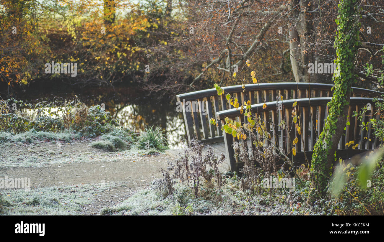 First signs of winter with frosty rime covering Castletown Park. Cold ...