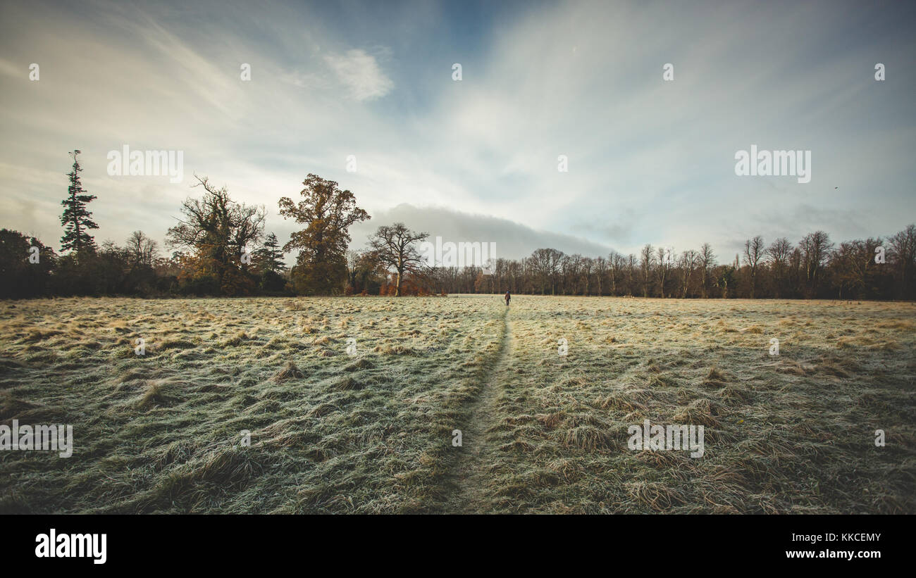 Walking a dog in covered with frosty rime Castletown Parkland. Cold ...